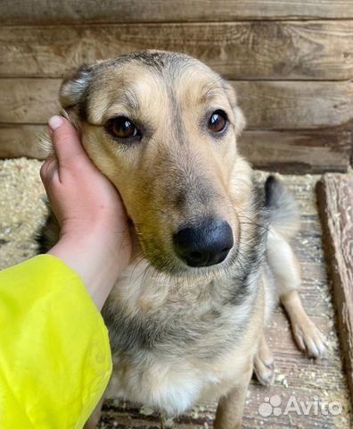 Она устала бороться за выживание