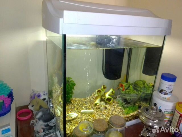 Аквариум Tetra 30 литров + фильтр+компрессор и др