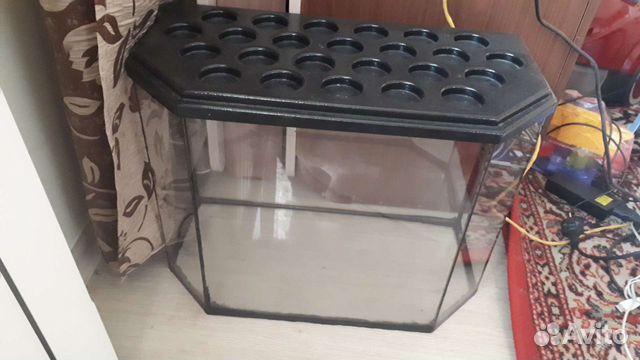 Аквариум