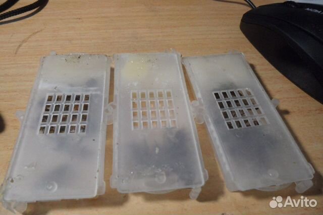 Пчеломатки карника