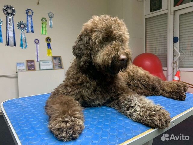 Лаготто Романьоло