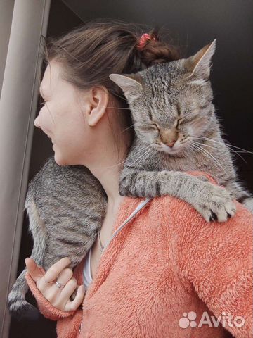 Кот Самый Ласковый в этом Мире Котик