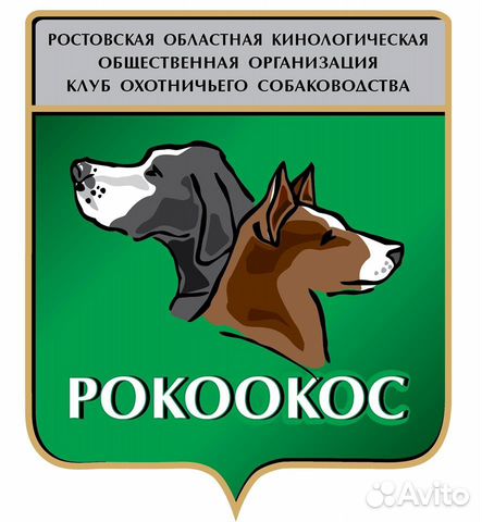Дратхаар, курцхаар,бретон купировка хвостов