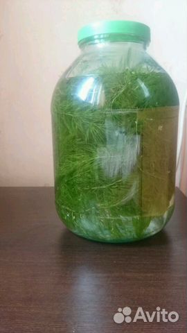 Роголистник