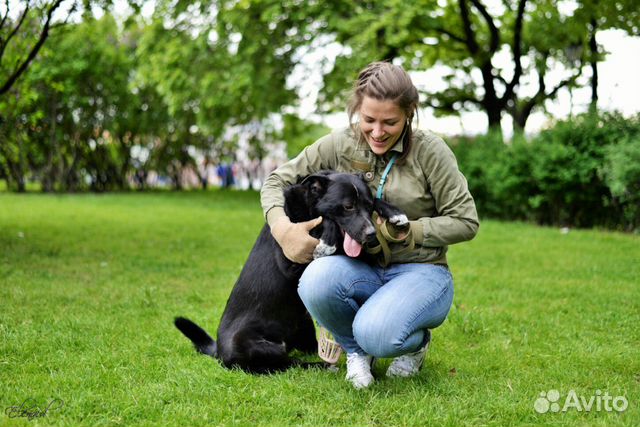 Щенок Чарли ищет дом