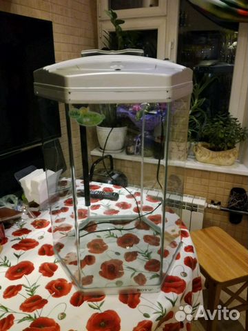 Акаариум шестигранный 60л