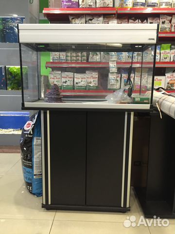 Аквариуи Акваэль