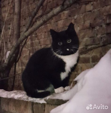 На щечке - родинка