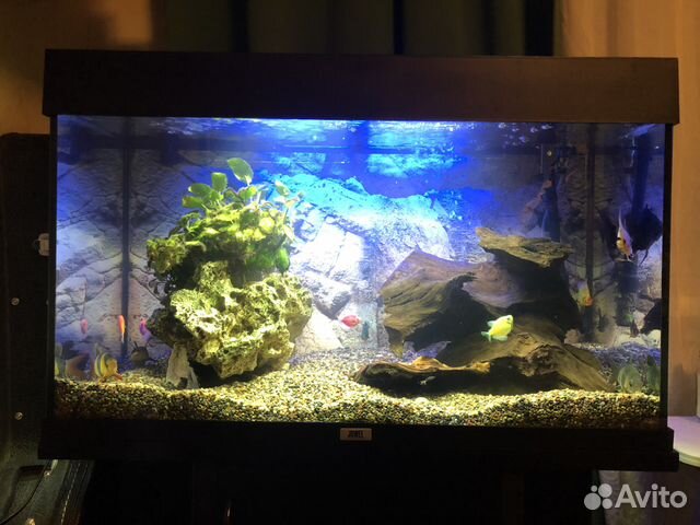 Аквариум Juwel Rio 125 + рыбки