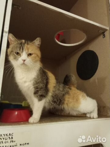 Серьезная, но нежная девочка ищет семью