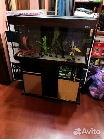 Аквариум 280л