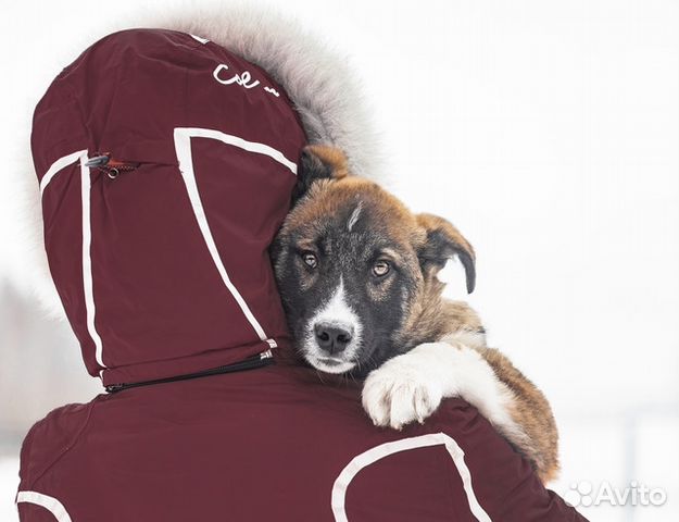 Смешной мальчик Винни в дар