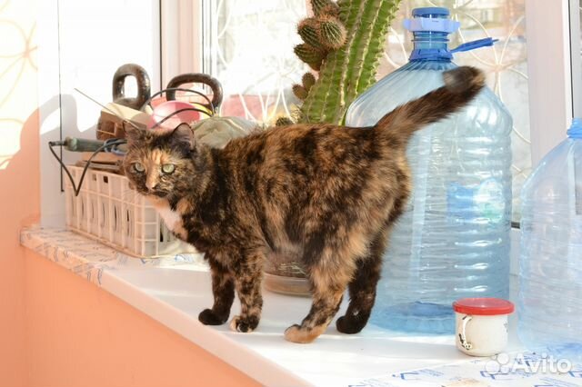 Чили в поисках замечательных людей