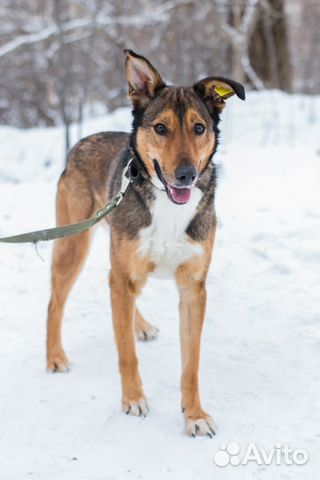 Бонд.красавец