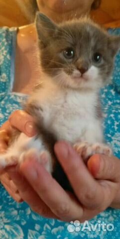 Принесем счастье в дом