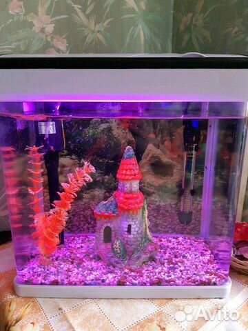 Аквариум