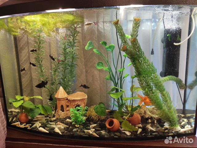 Продам панорамный аквариум 110л с рыбками