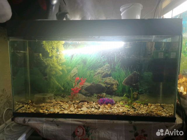 Аквариум