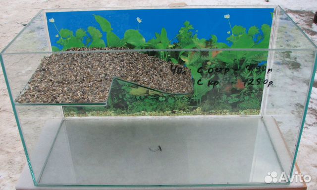 Аквариум с островком 40 литров