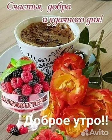 Такса в добрые руки