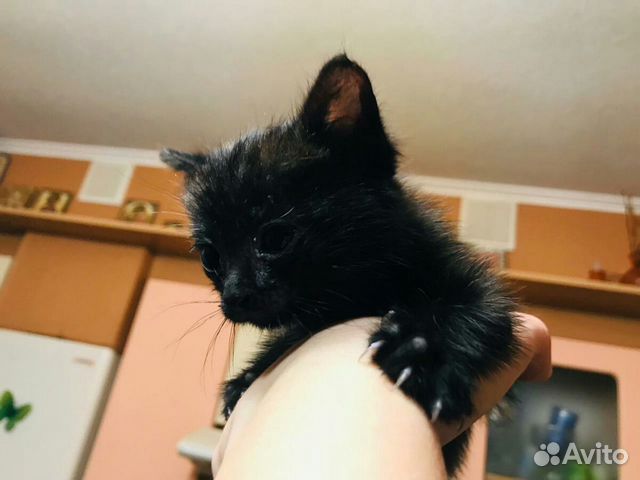 Крохотулечка