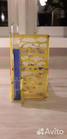 Муравьиная ферма (формикарий)