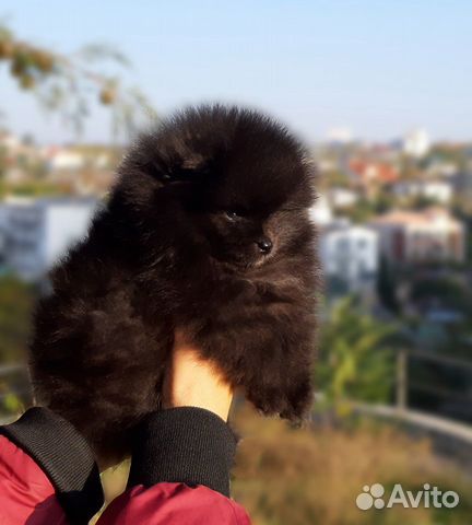 Черный брилиантик