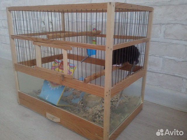 Клетка с черной крыской