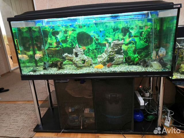 Аквариум 450л