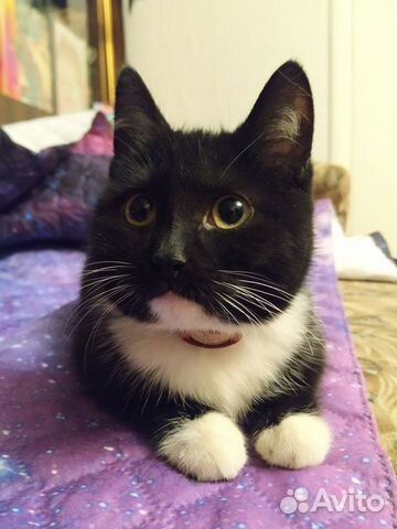 Буся - Бусинка