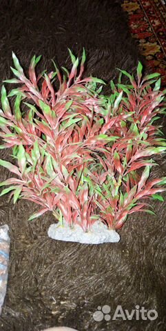 Для аквариума