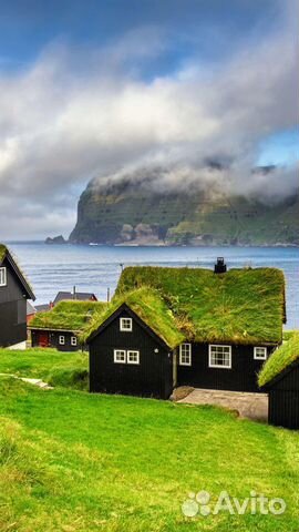 Продам домашние яйца и индо утки