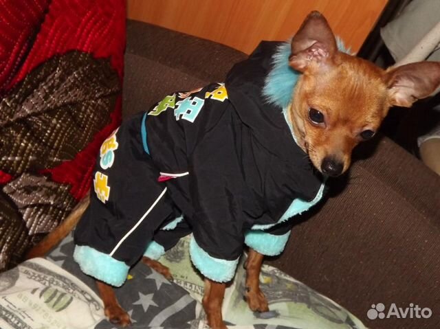 Продам мини тойчика