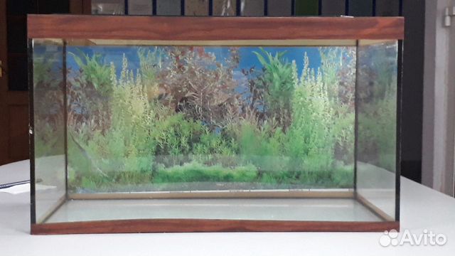 Аквариум
