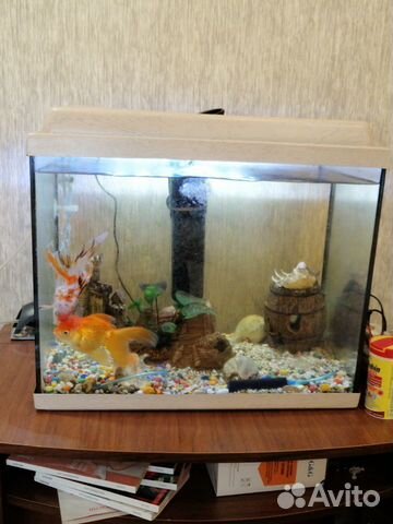 Аквариум