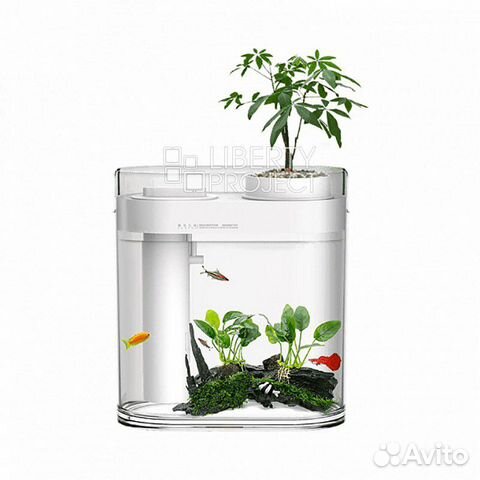 Аквариум Xiaomi Descriptive Geometry Lucky Amphibi
