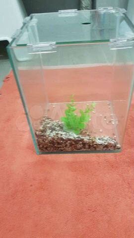 Аквариум Nano Cube