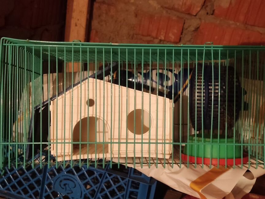 Клетка для джунгарского хомяка