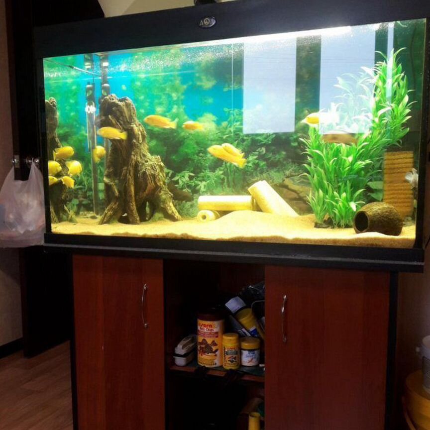 Аквариум 200л с тумбой