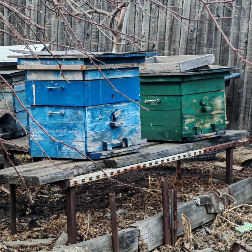 Продам ульи для пчел бу