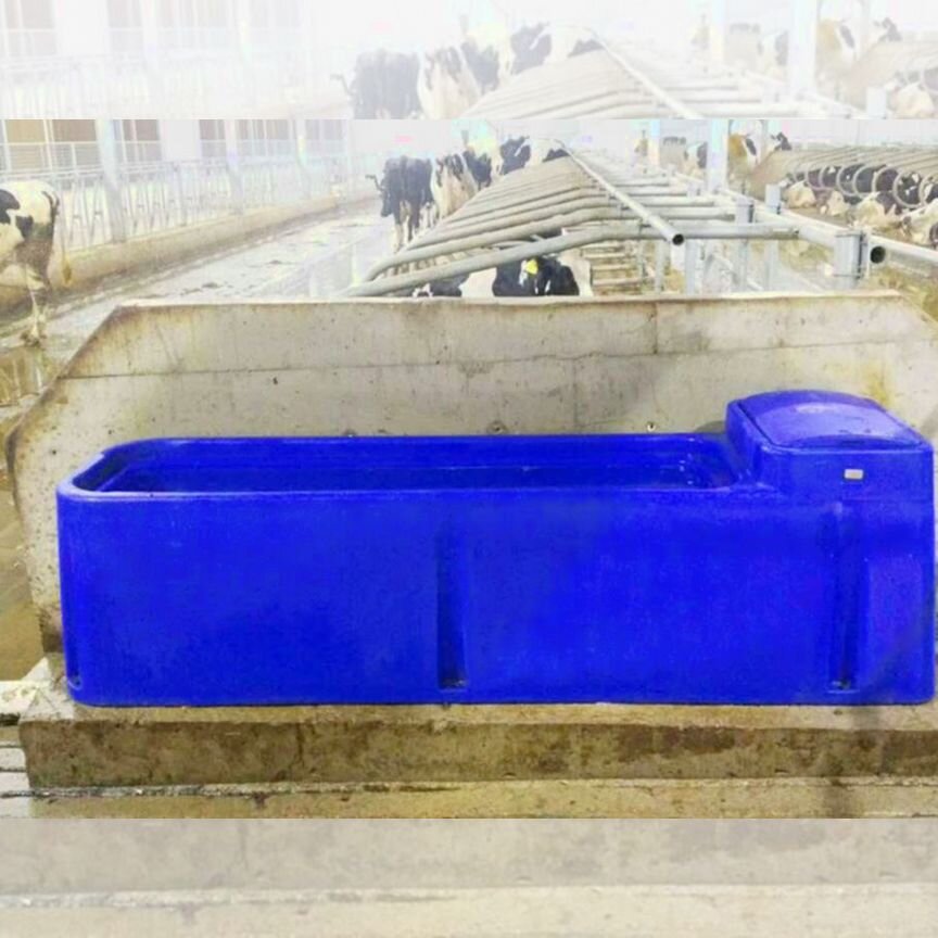 Поилка для коров с подогревом