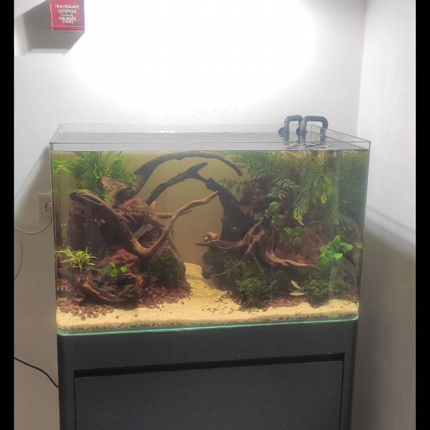 Аквариум ADA с тумбой ADA светильником ADA
