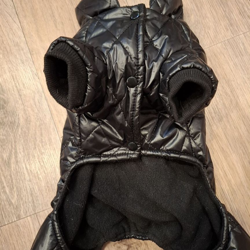 Одежда для собак мелких пород