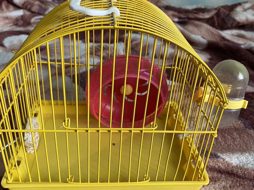 Клетка для грызунов, хомяка