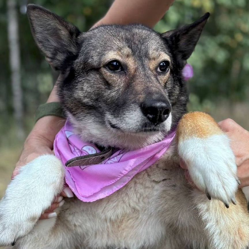 Скромная Томочка мечтает стать любимой