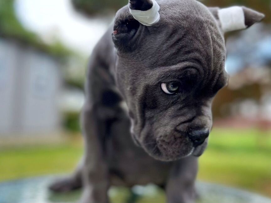 Самая обоятельная и привлекательная)