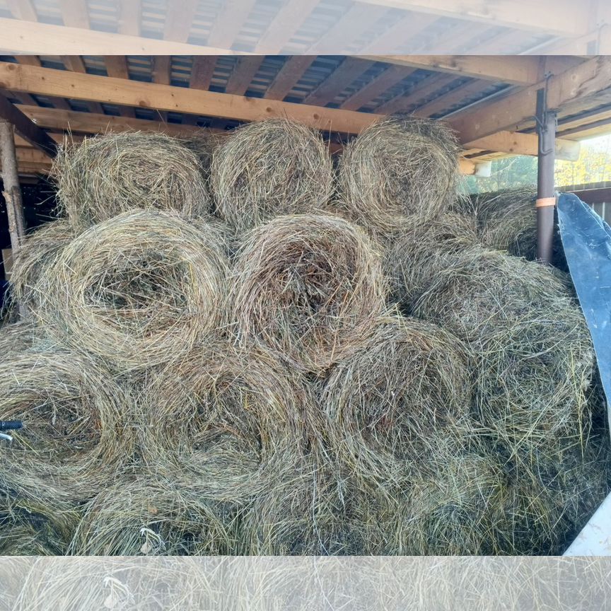 Сено в мини рулонах