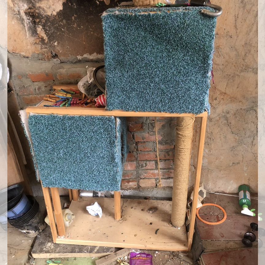 Кошачий домик