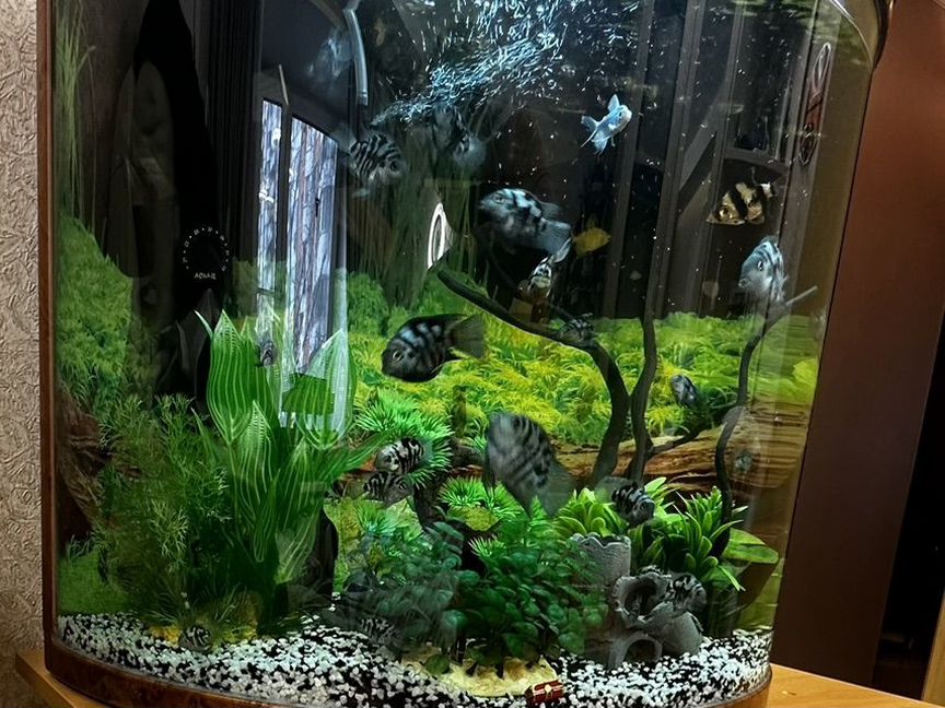 Аквариум jebo R-760 , 70 литров