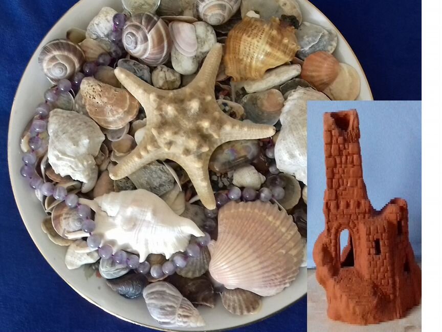 Морские ракушки + Домик